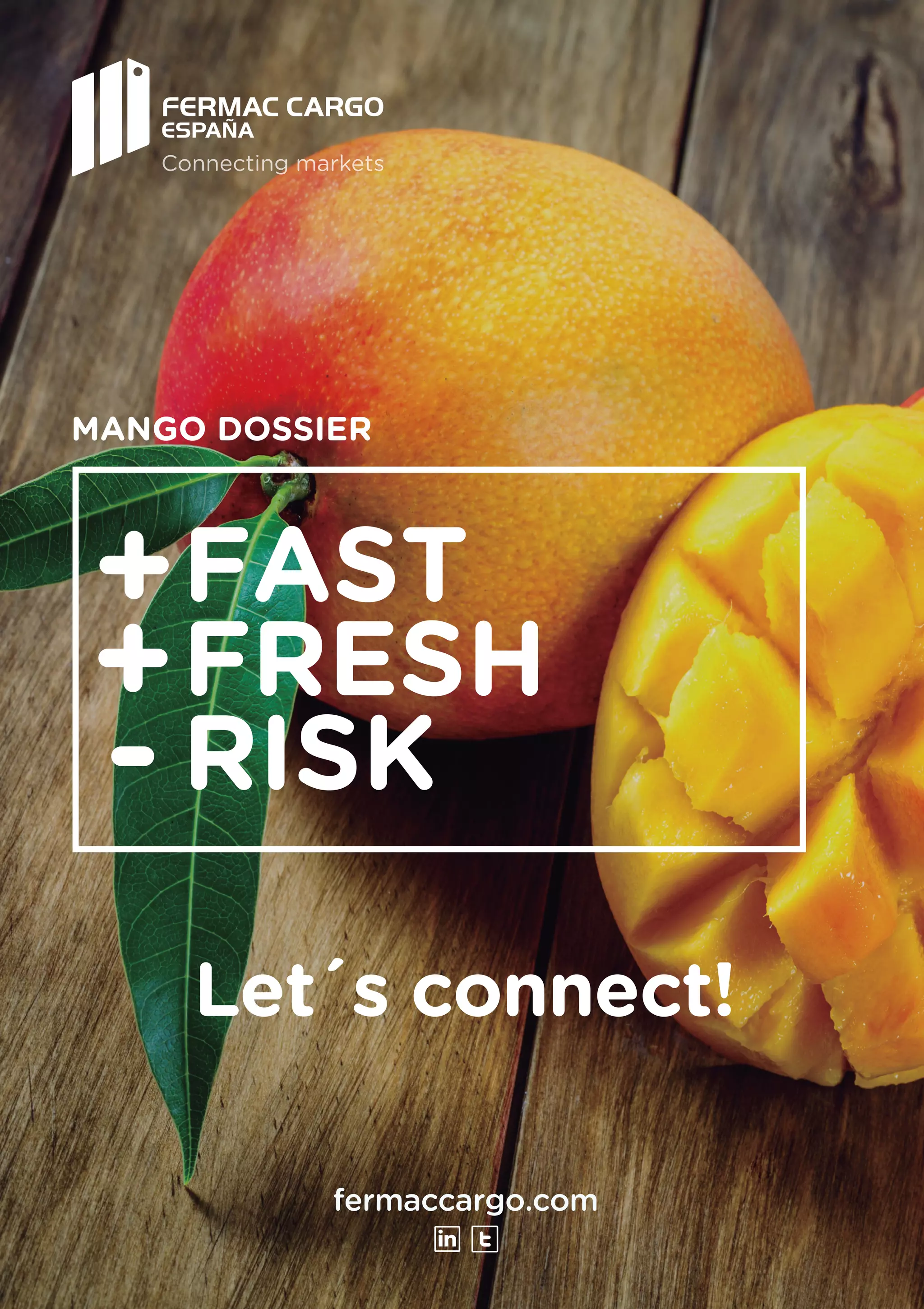 Dossier Mango - Fermac Cargo España (en) | PDF | Logistics and Transportation Industry | Industries