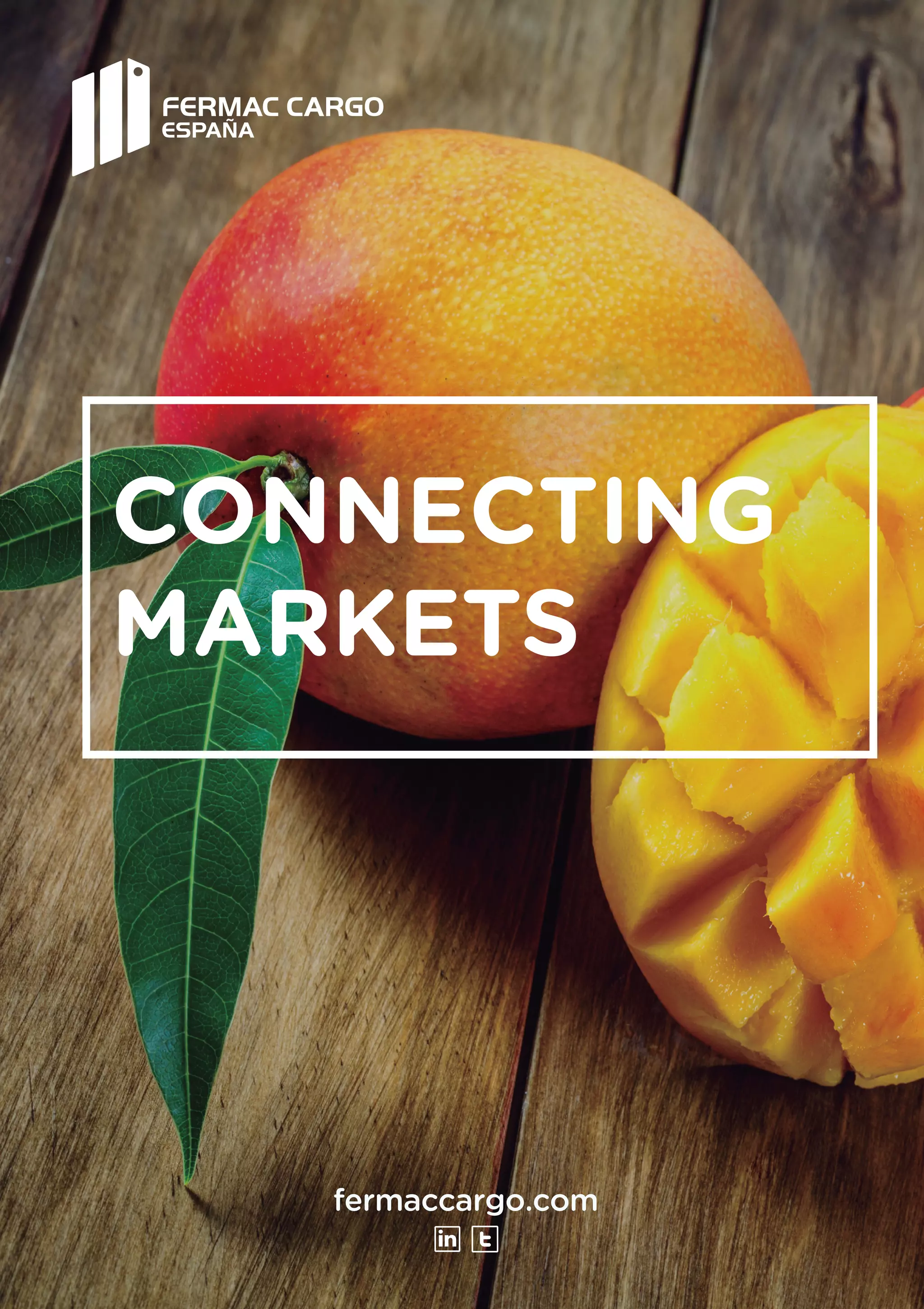 Dossier Mango - Fermac Cargo España (en) | PDF | Logistics and Transportation Industry | Industries