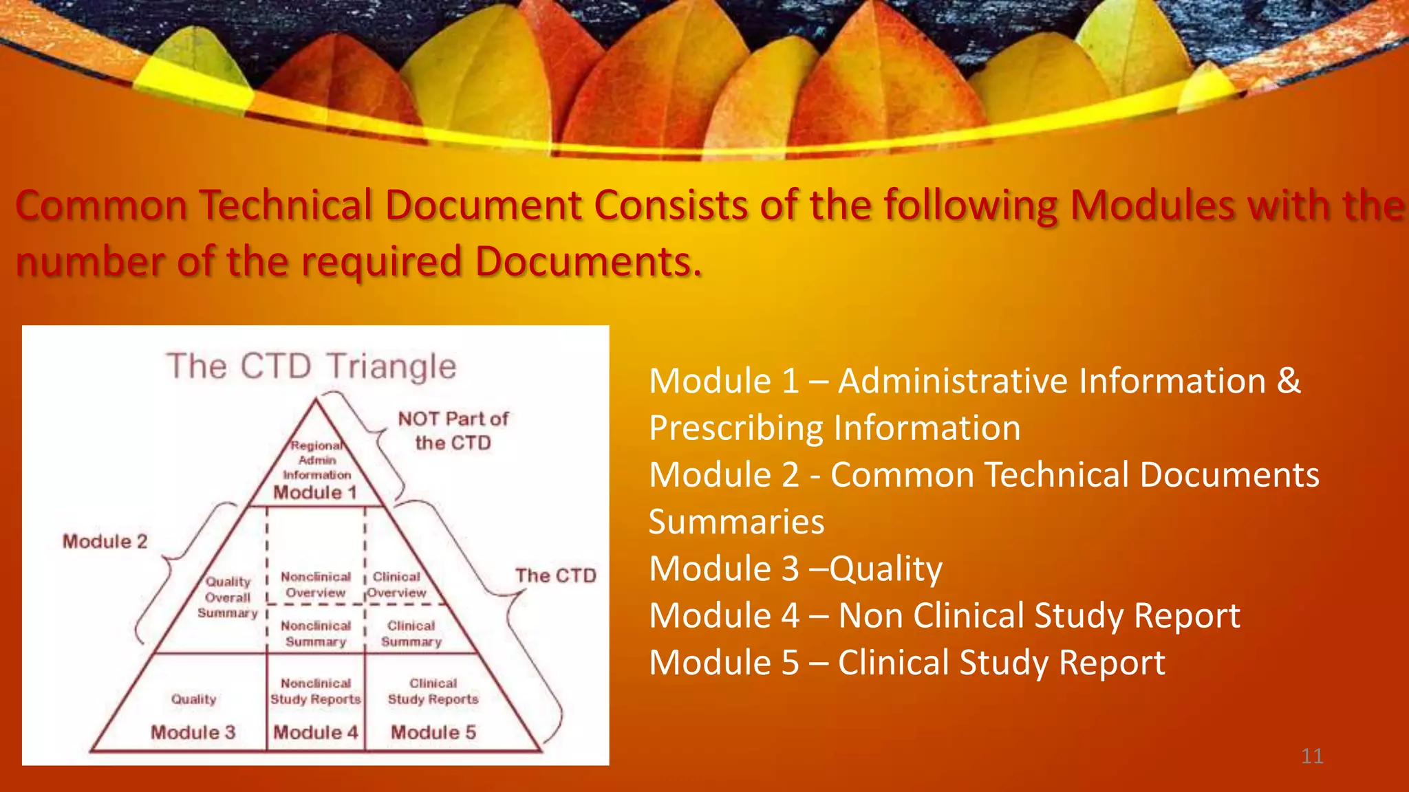 Dossier preparation and submission | PPTX