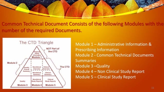 Dossier preparation and submission | PPTX