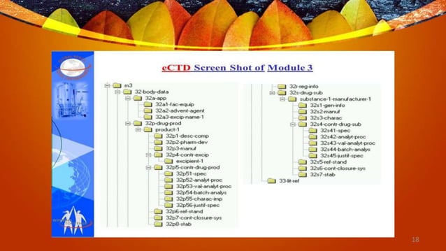 Dossier preparation and submission | PPTX