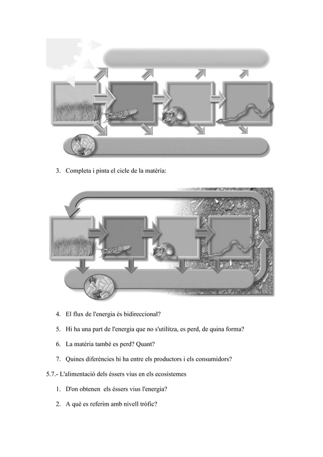 Dossier tema 5 i 6 (Ecosistemes) | PDF