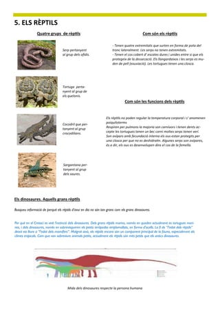 Animals vertebrats | PDF