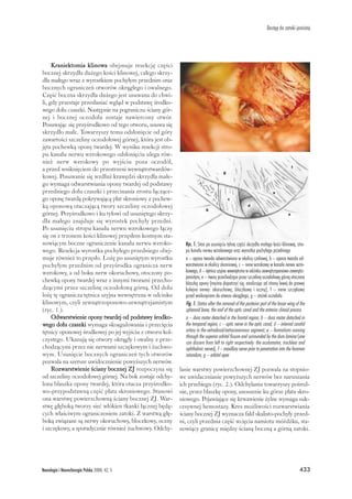 Lateral approach to the Cavernous sinus. | PDF