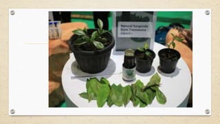 Dost programs and projects | PPTX