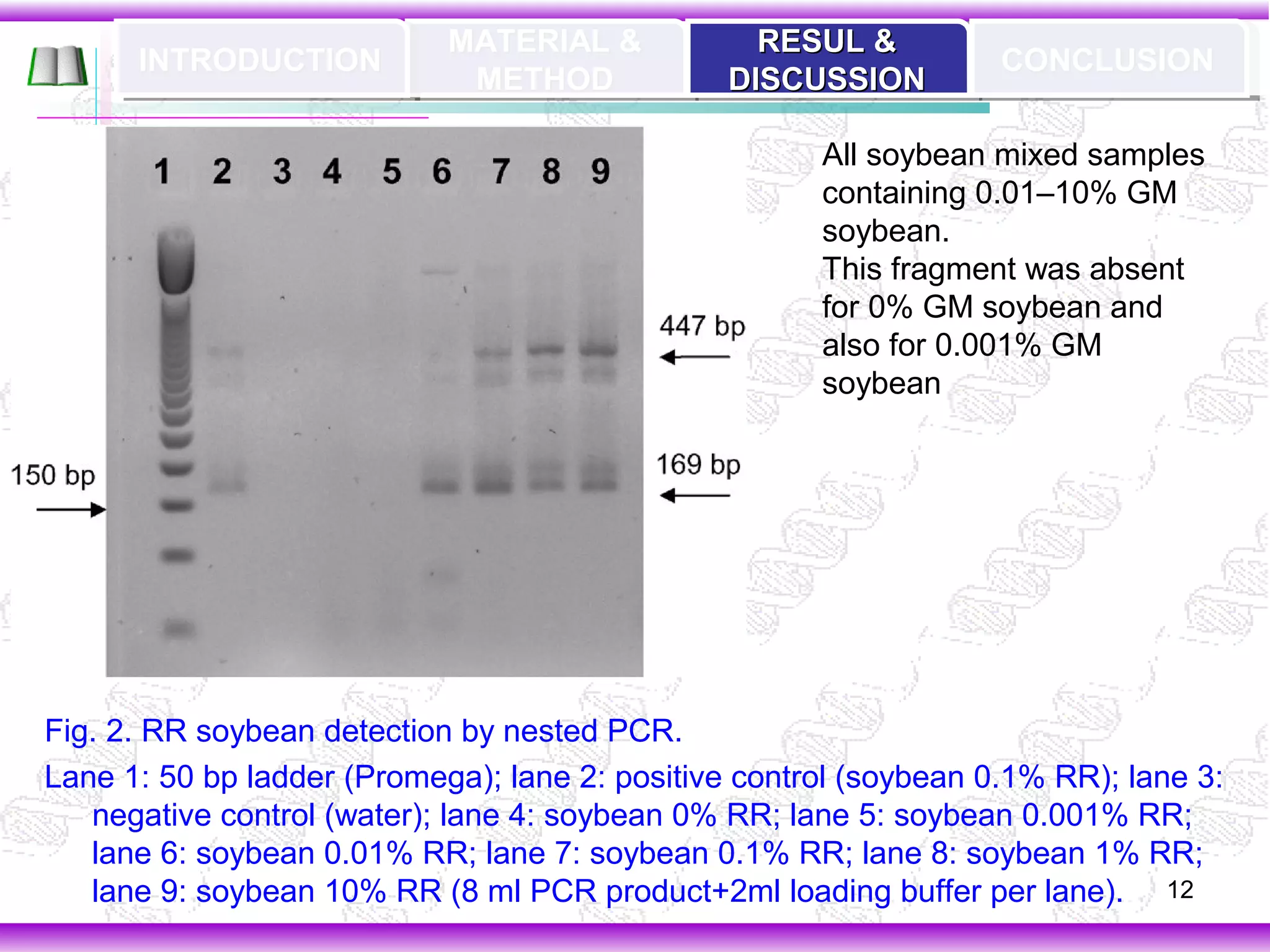 nested pcr detecting gmo | PPT