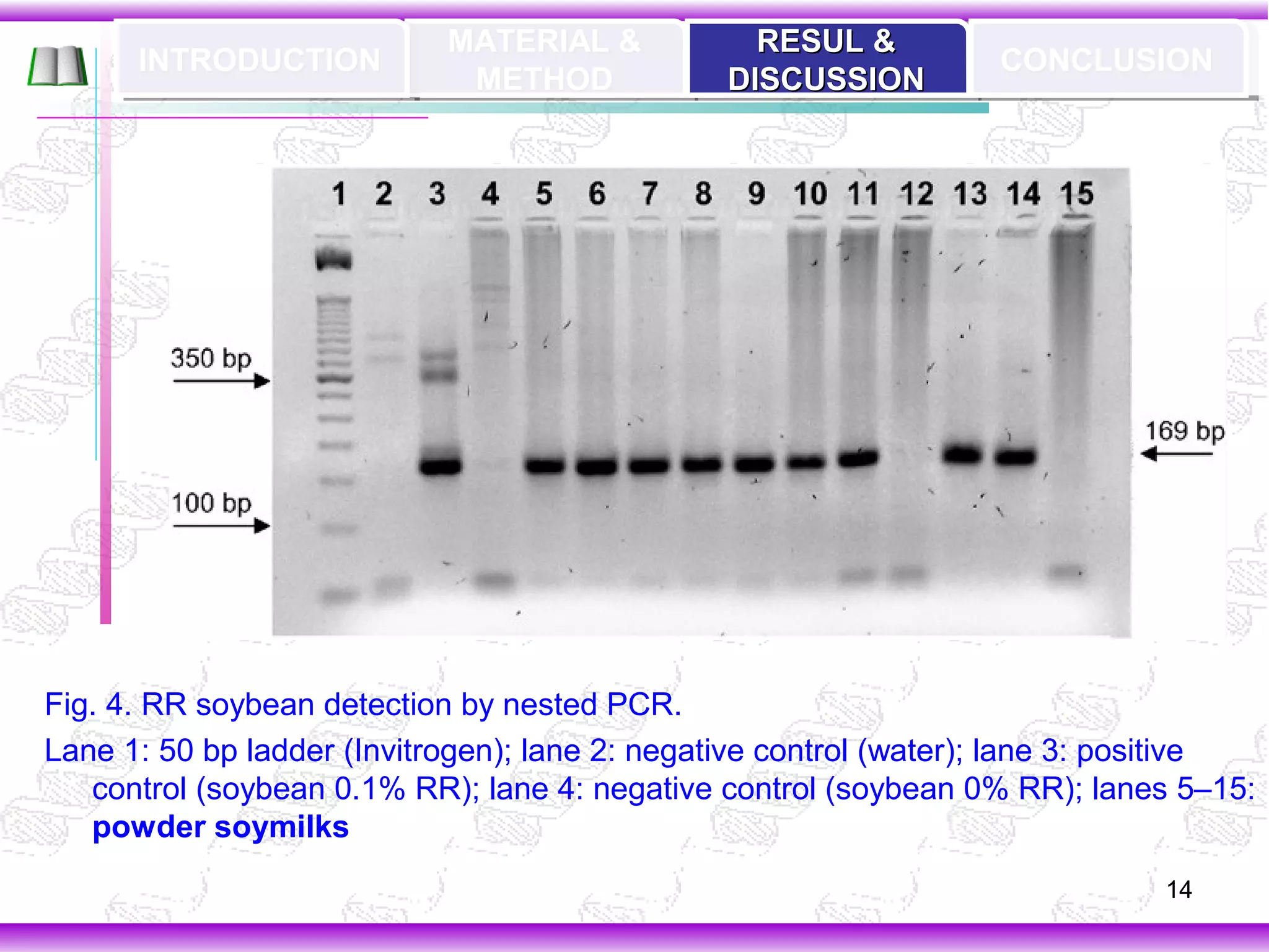 nested pcr detecting gmo | PPT