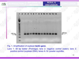 nested pcr detecting gmo | PPT