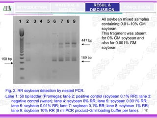 nested pcr detecting gmo | PPT