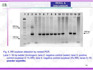 nested pcr detecting gmo | PPT