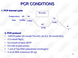 nested pcr detecting gmo | PPT