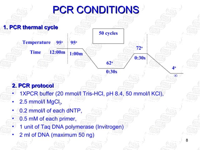 nested pcr detecting gmo | PPT | Chemistry | Science