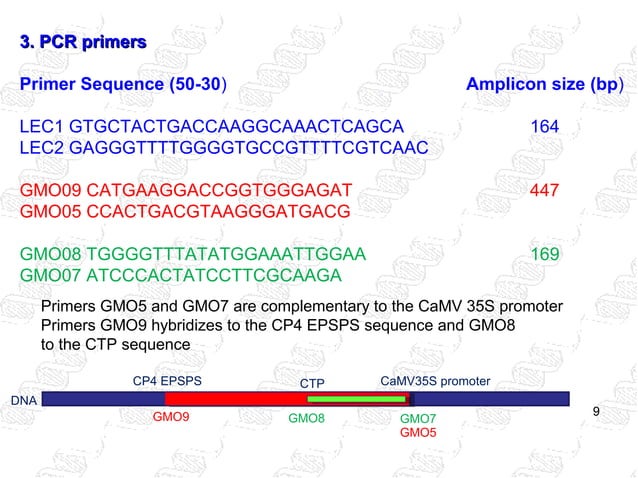 nested pcr detecting gmo | PPT | Chemistry | Science