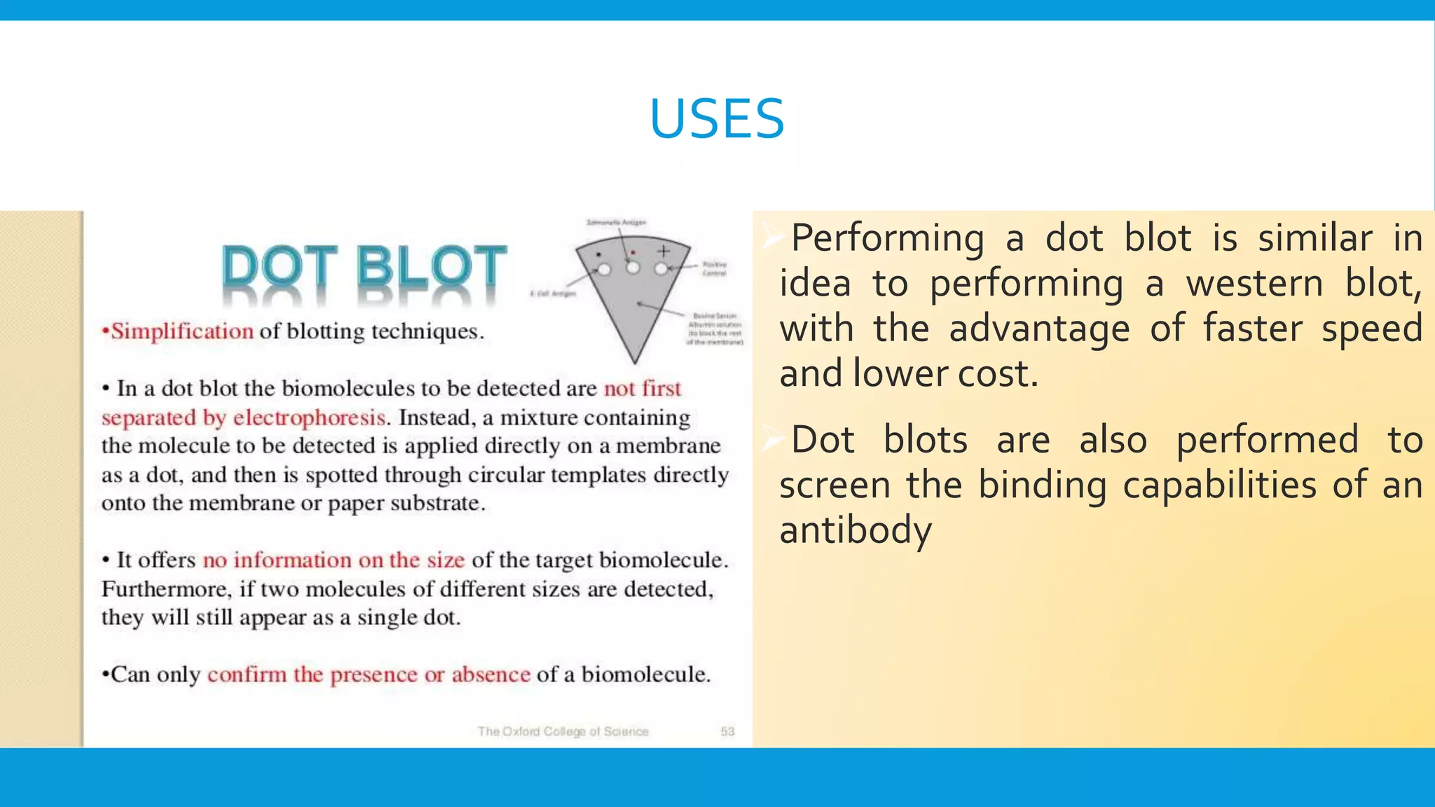 Dot blotting | PPTX