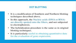 Dot blotting | PPTX
