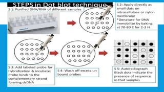 Dot blotting | PPTX