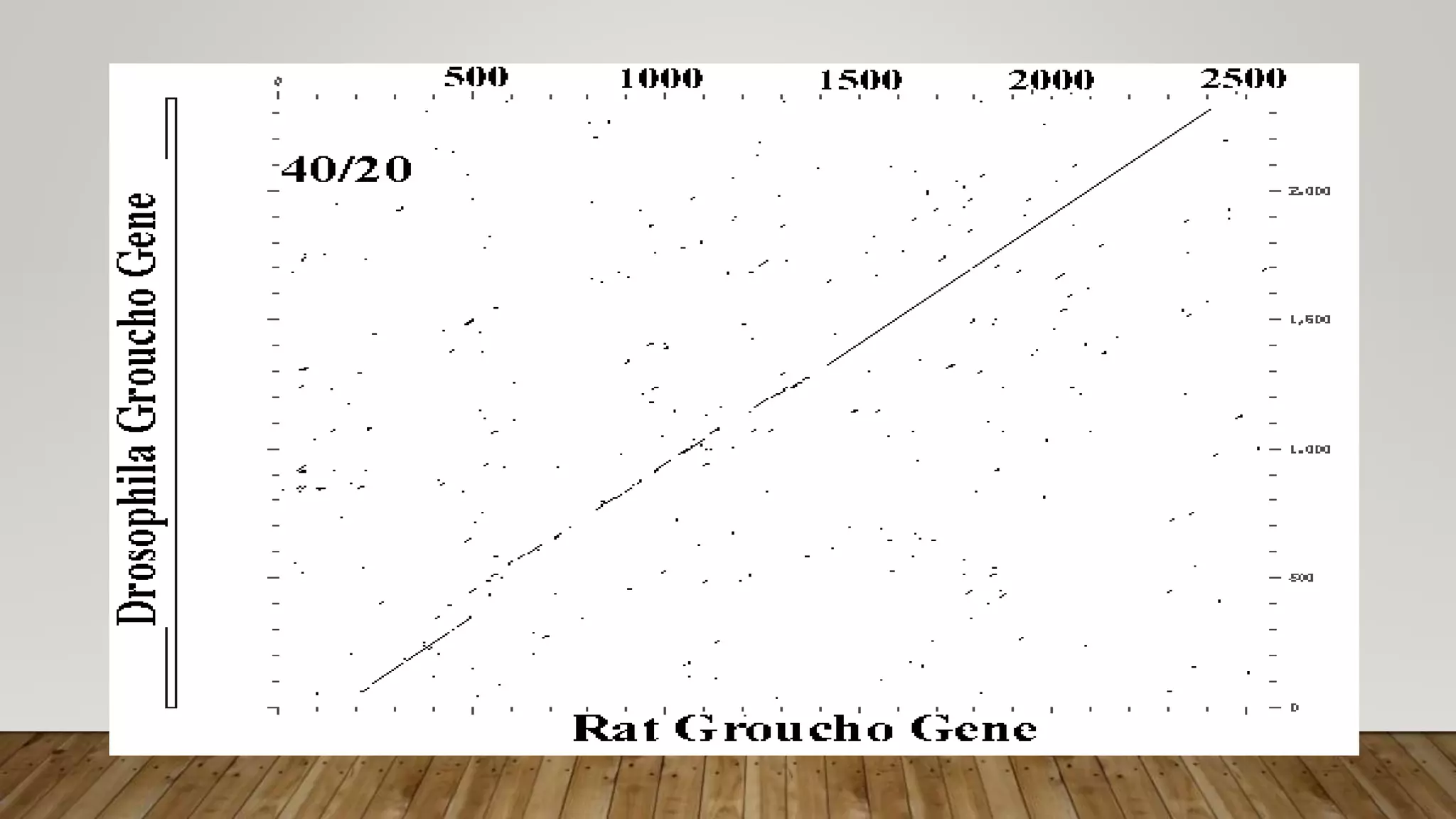 Dot matrix seminar | PPTX