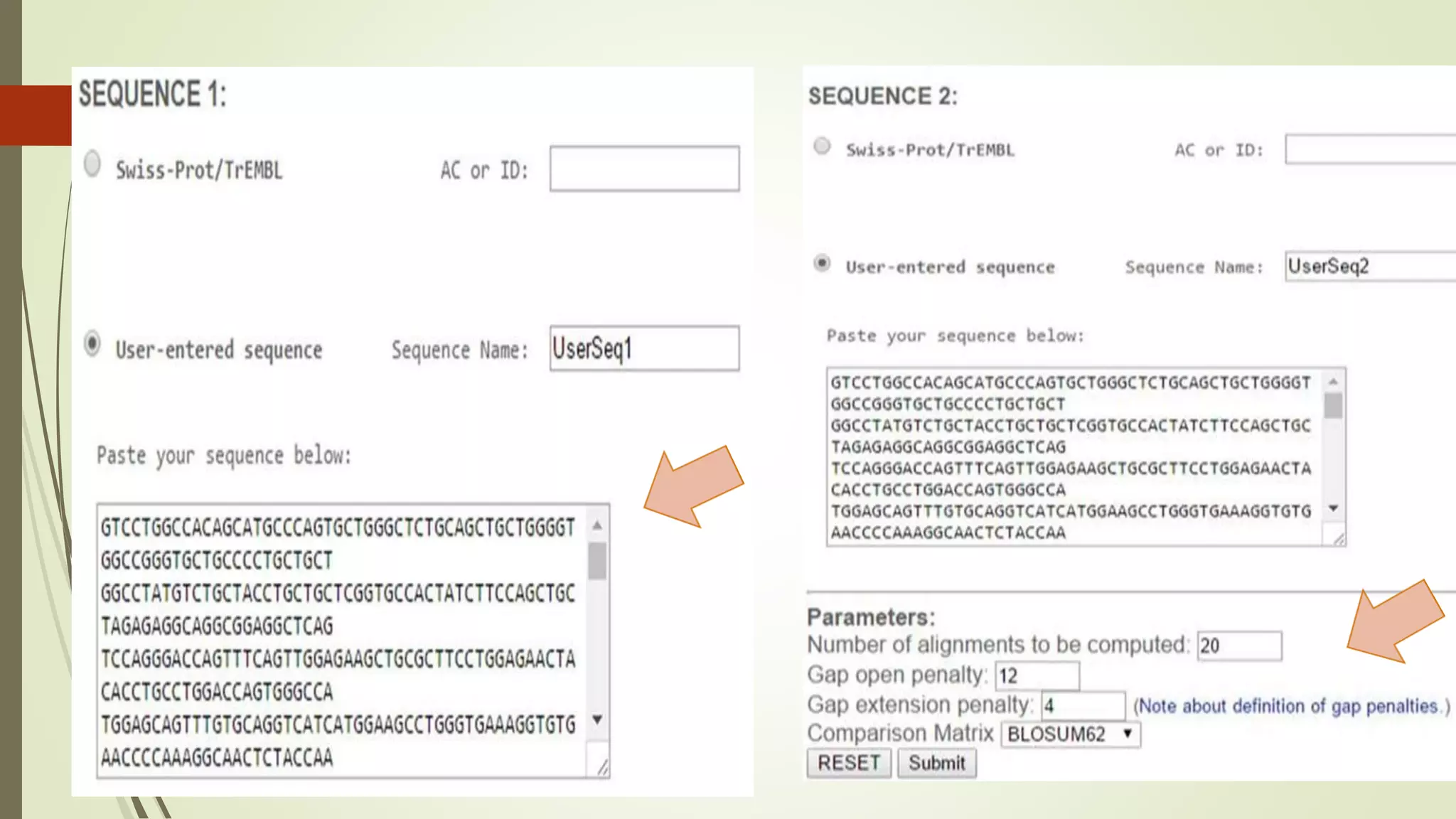 Dot matrix Analysis Tools (Bioinformatics) | PPTX