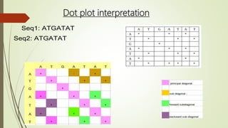 Dot matrix Analysis Tools (Bioinformatics) | PPTX