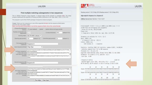 Dot matrix Analysis Tools (Bioinformatics) | PPTX