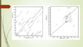 Dot matrix Analysis Tools (Bioinformatics) | PPTX