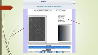 Dot matrix Analysis Tools (Bioinformatics) | PPTX
