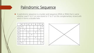 Dot matrix Analysis Tools (Bioinformatics) | PPTX