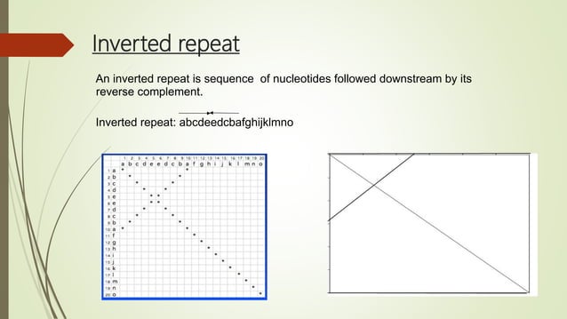Dot matrix Analysis Tools (Bioinformatics) | PPT