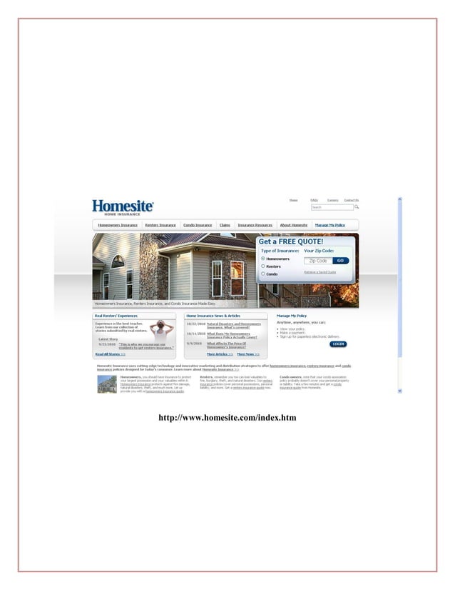 .Net Website Development. | PDF