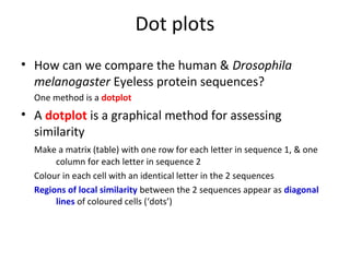 Dotplots for Bioinformatics | PPT