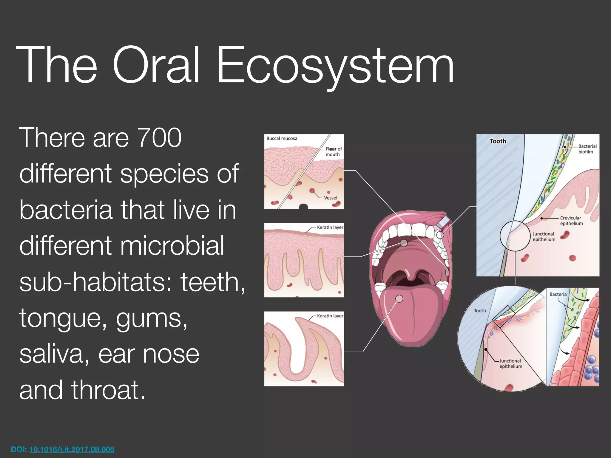 The Oral Microbiome: The Next Frontier | PDF