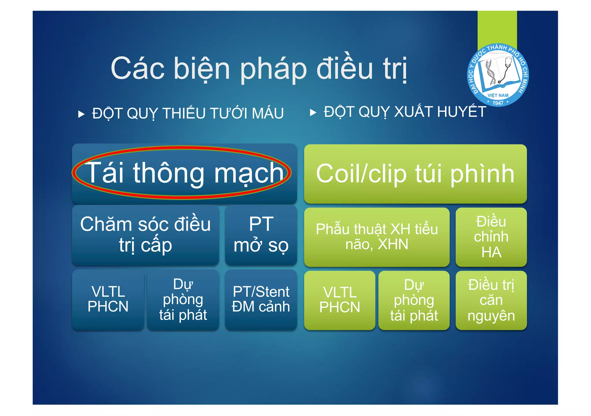 Đột quỵ - Đại học Y dược TPHCM | PDF