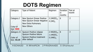 Dots | PPT