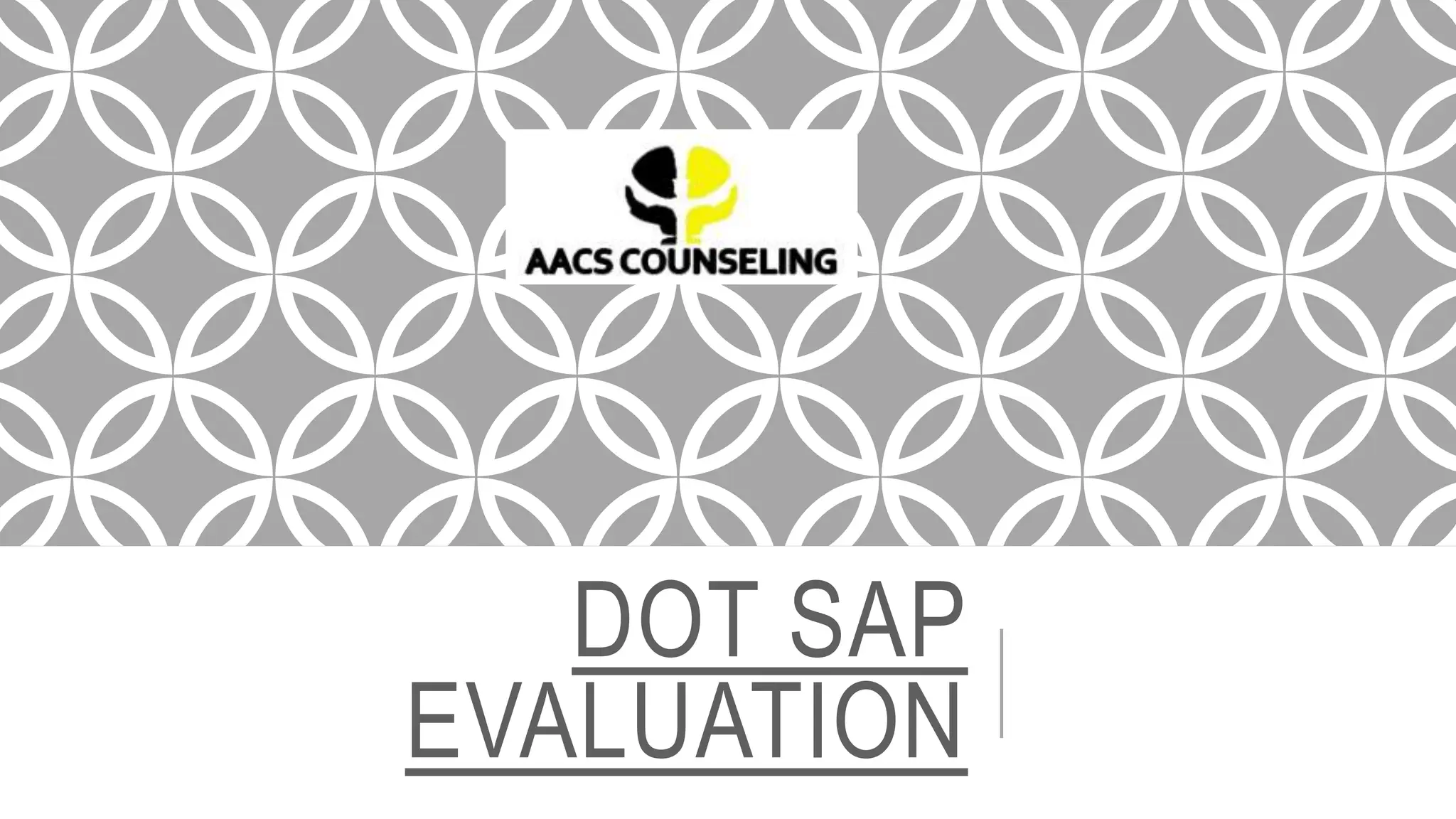 Understanding DOT SAP Evaluation: Ensuring Safety and Compliance | PPT