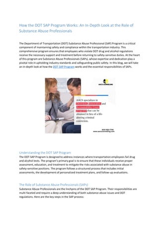 DOT SAP Program: Ensuring Safety and Sobriety | PDF