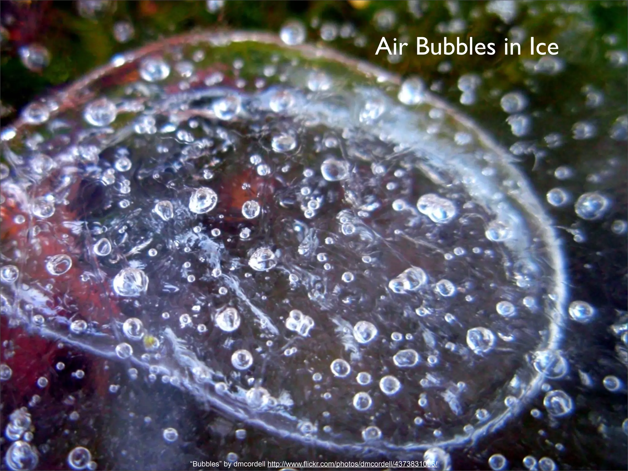 Dots in Nature | PDF