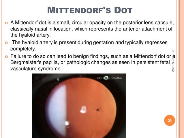 Dots spots lines and rings in ophthalmology