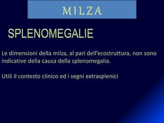 Ecografia alla milza | PPTX