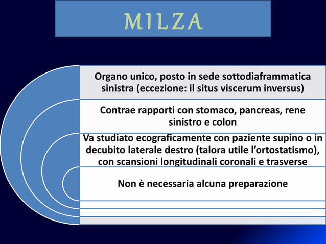 Ecografia alla milza | PPTX