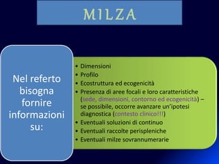 Milza Di Dimensioni Normali