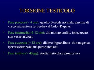 US Scroto | PPT