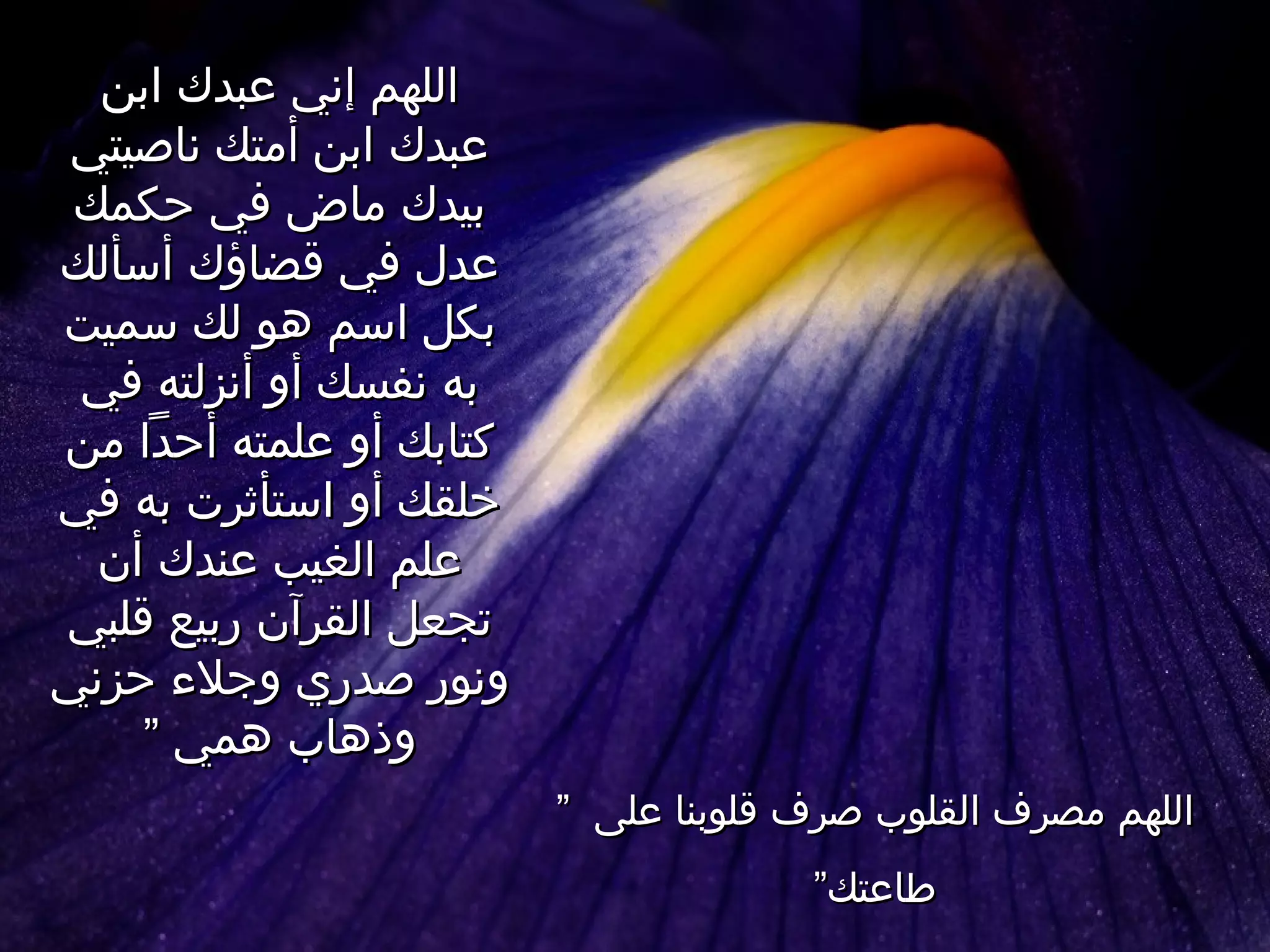 Douaa Our Prophet | PPT | Free Download