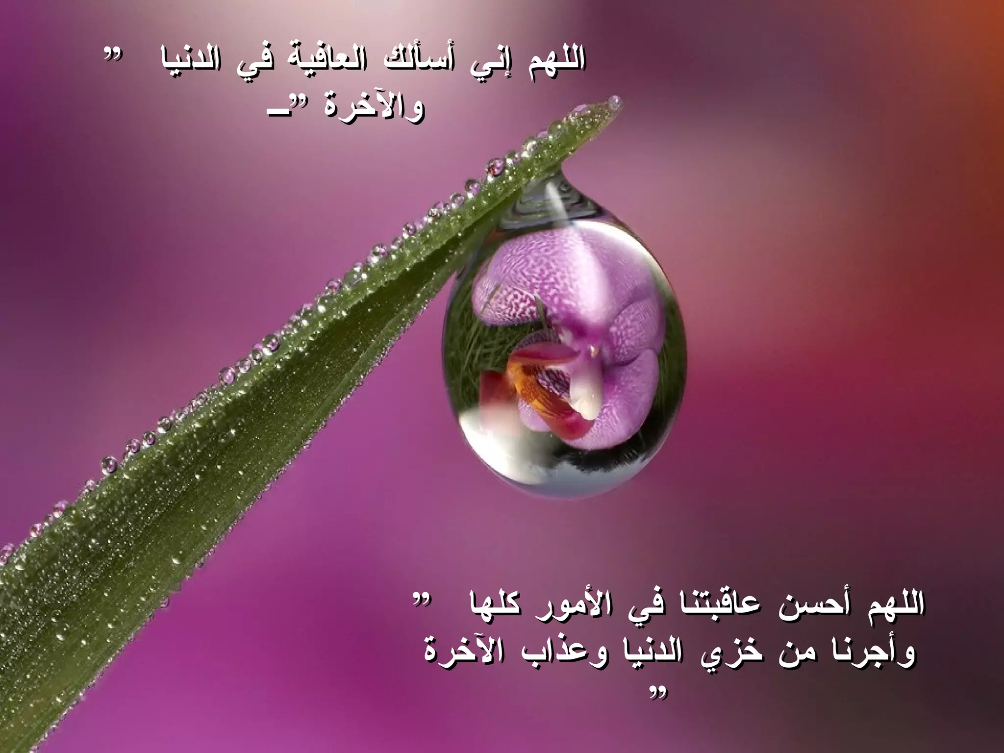 Douaa Our Prophet | PPT