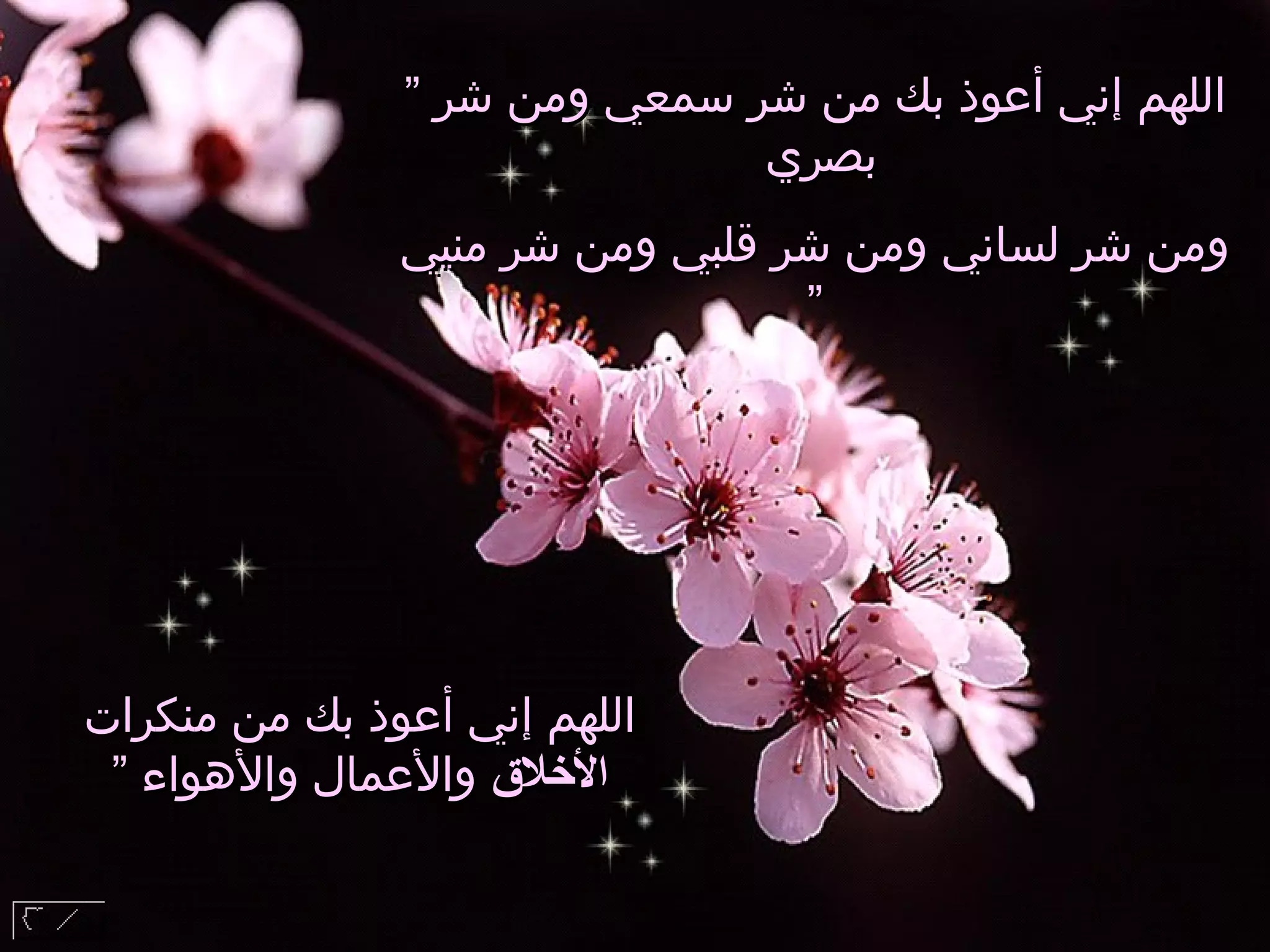 Douaa Our Prophet | PPT