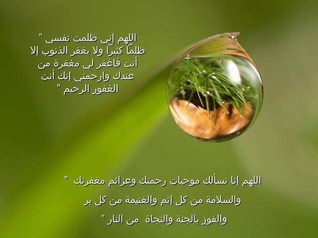 Douaa Our Prophet | PPT | Free Download