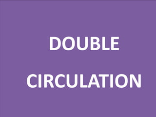 Double circulation | PPTX