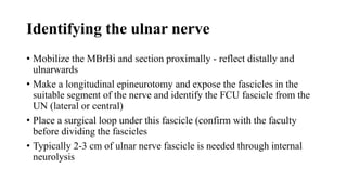Double fascicular transfer for elbow flexion | PPTX