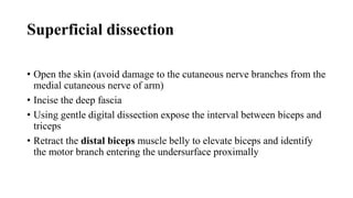 Double fascicular transfer for elbow flexion | PPTX