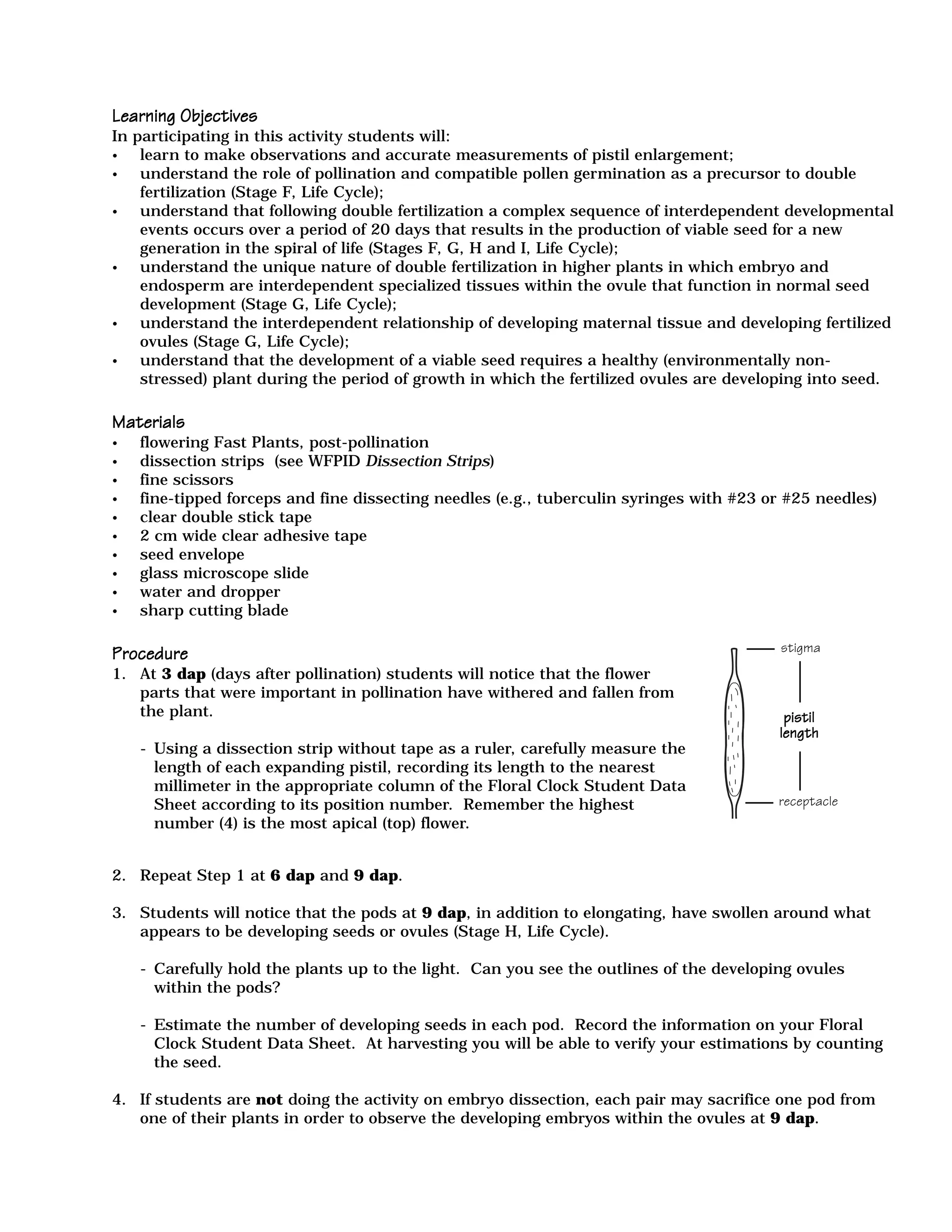 Double fertilization | PDF