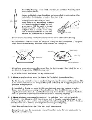 Double fertilization | PDF